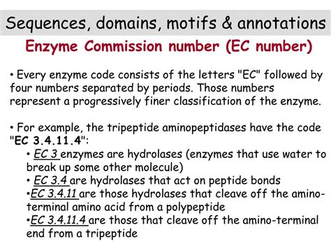 Ppt Bioinformatics Of Proteins Sequence Structure And The ‘symbiosis Between Them
