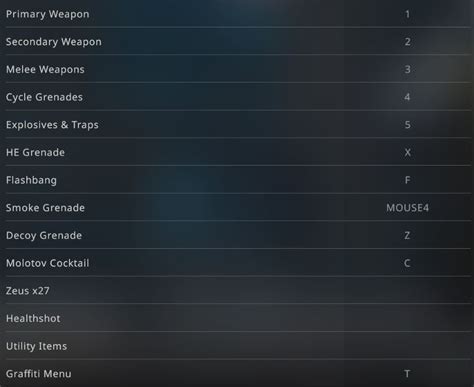 Best Counter Strike Global Offensive Csgo Settings High Ground Gaming