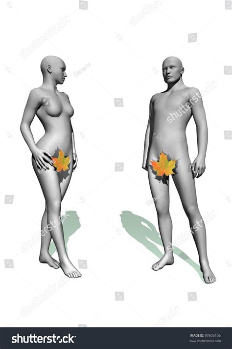 Naked Adam Eve Leaf White Background Stock Illustration Shutterstock