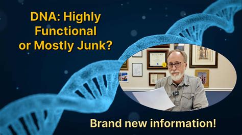 dna highly functional or mostly junk part 1 biblical genetics