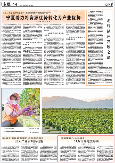 35万亩荒地变绿洲 宁夏新闻网