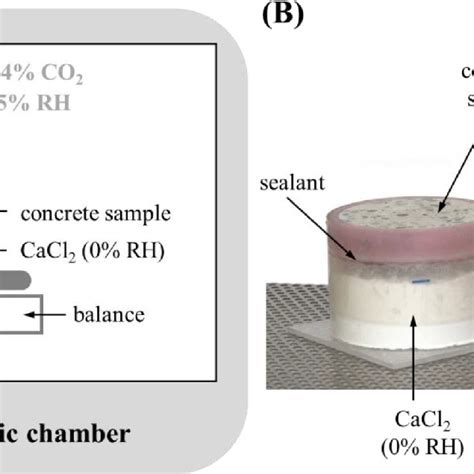Scheme Of The Experimental Set Up For Water Vapour Diffusion Download Scientific Diagram