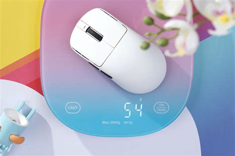 잠자리 Vxe R1 Pro Max 54g 초경량 게이밍 마우스 추천 리뷰