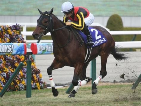 玩勻全世界 Sunday Racing計劃首戰育馬者盃