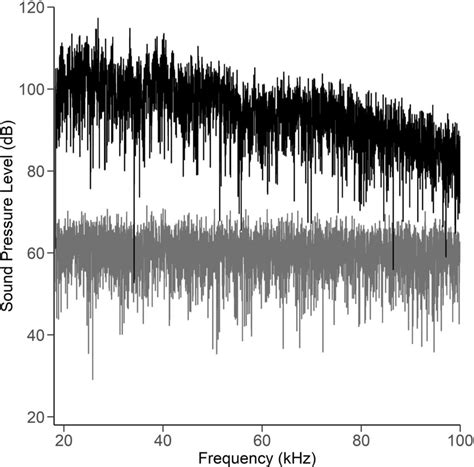 Sound Spectrum Spectrum Of Sound Produced Under Control Grey And High Download Scientific