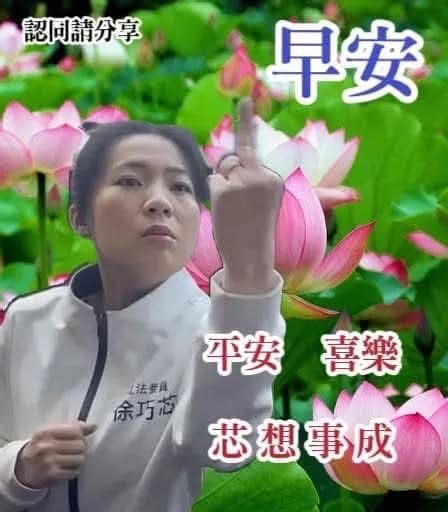 松信選民站出來！ 不要再丟臉了 你想看這種貨色跟你說早安嗎
