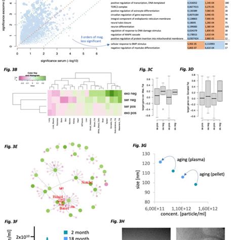 Pathway Results And Nanoparticle Tracking A Mirna Pathway Enrichment