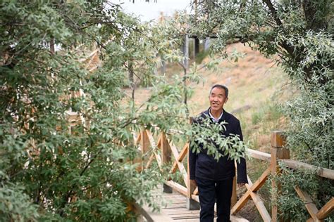 “拥抱”大漠，“绿染”家园——立体防沙治沙的甘肃实践四川在线