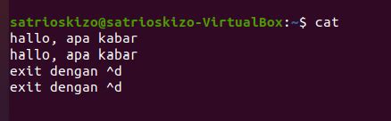 Laporan Praktikum Sistem Operasi Input Output Linux Beserta