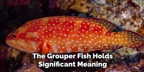 Grouper Spiritual Meaning Symbolism And Totem Explained 2025