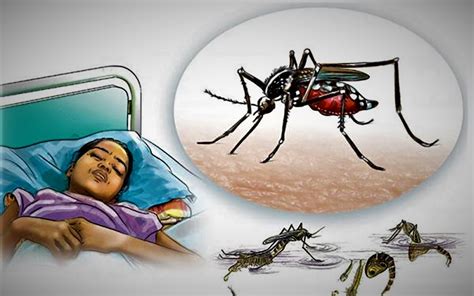 देशभरका ७१ जिल्लामा डेगुं संक्रमण फैलियो संक्रमितको संख्या ७ हजार
