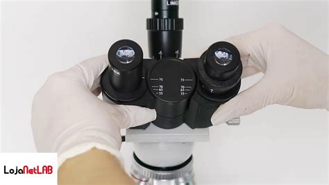 Microscópio Trinocular Loja Netlab YouTube