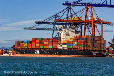 Zims New Service To Link Indian Subcontinent And East Mediterranean