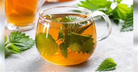 6 Resep Jamu Rebus Herbal 3 Bahan Mampu Turunkan Darah Tinggi Dan Asam