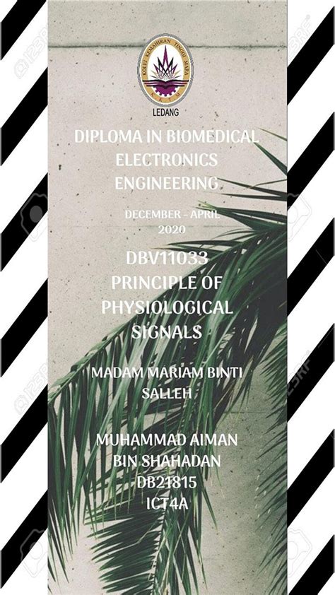 Pps Assignment Final By Aiman Flipsnack