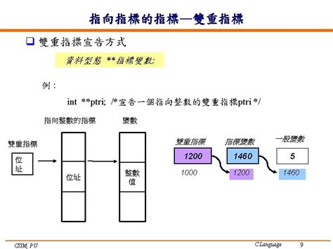 Introduction To The C Programming Language Pointer Csim