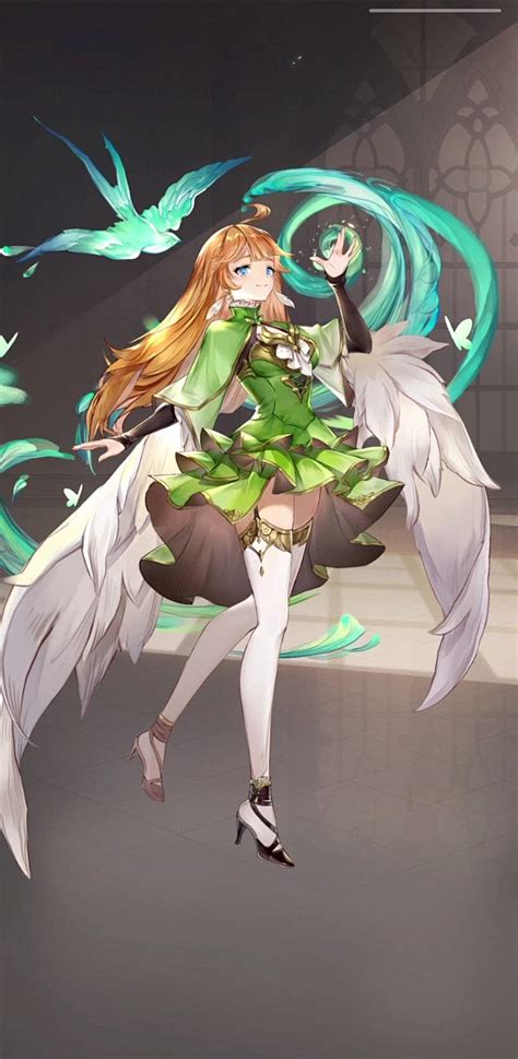 白沉香 尖尾雨燕 花瓣网