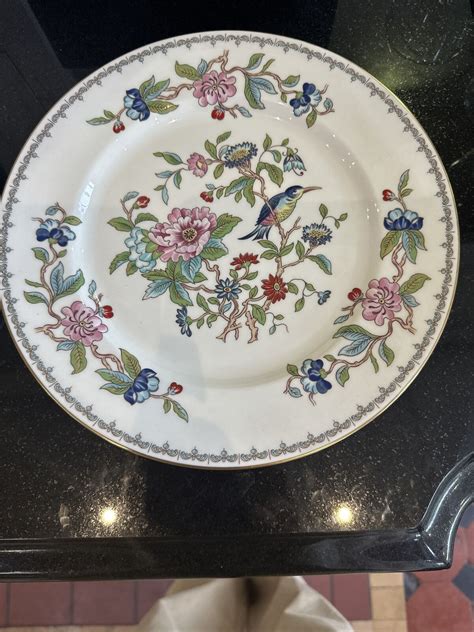 Aynsley Dinner Plates Largest Collection