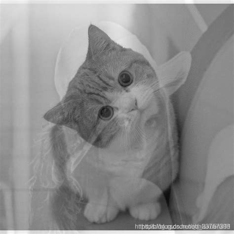 图像处理 均值滤波 图像处理均值滤波代码pythonmob64ca140088a9的技术博客51cto博客