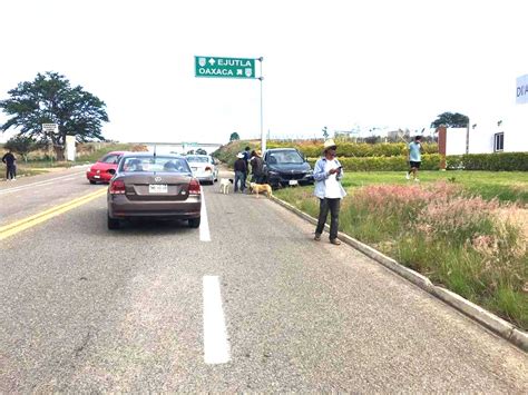 Choca Su Automóvil De Lujo Contra Otro En Ejutla De Crespo Nvi Noticias