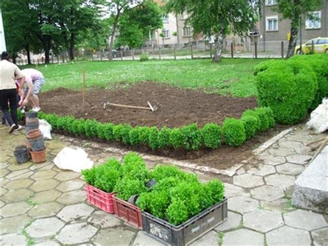 Подкастряне на декоративни храсти и дървета Български Фермер