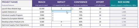 Rice Framework Template In Excel Rice Prioritization