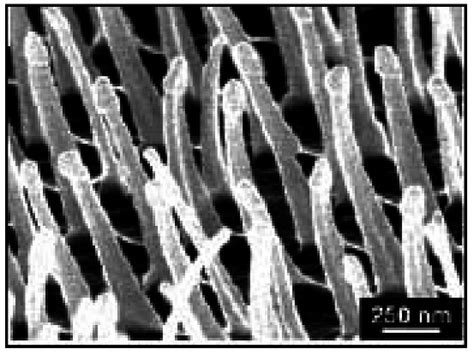 Stretched Polymeric Pmma Nanostructures Fabricated By Download Scientific Diagram