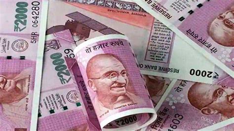 Business Idea इस बिजनेस से सिर्फ 5 साल में कर सकते हैं लाखों की कमाई