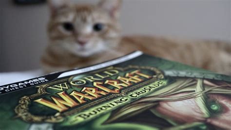Wow Secrets Of Azeroth Day 13 Stormshroud Peak And A Curious Orb