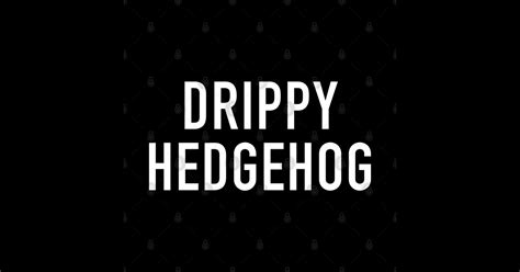 Drippy Hedgehog Hedgehog Sticker Teepublic