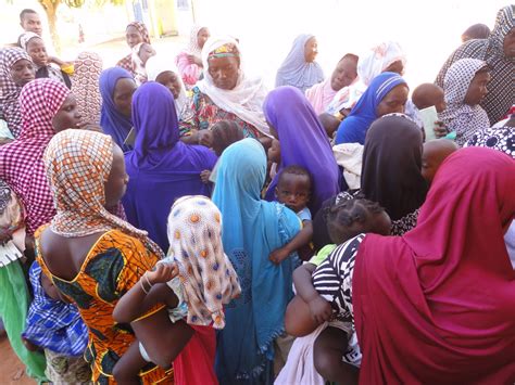 Reducing Poverty With Innovations In Niger The Borgen Project