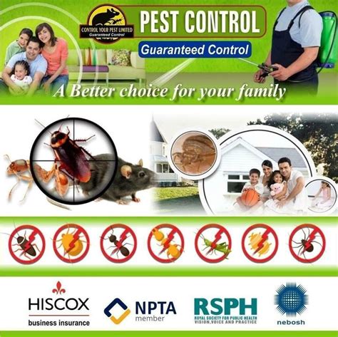 Pest Control Mice Rats Bedbugs Cockroaches Fleas Flies Ants Moths