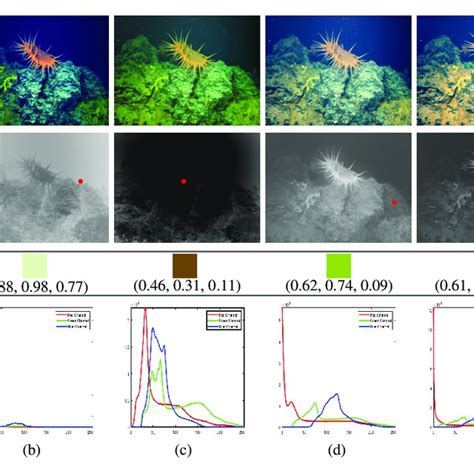 The Result Of Restoring A Non Uniform Illumination Underwater Image Download Scientific Diagram