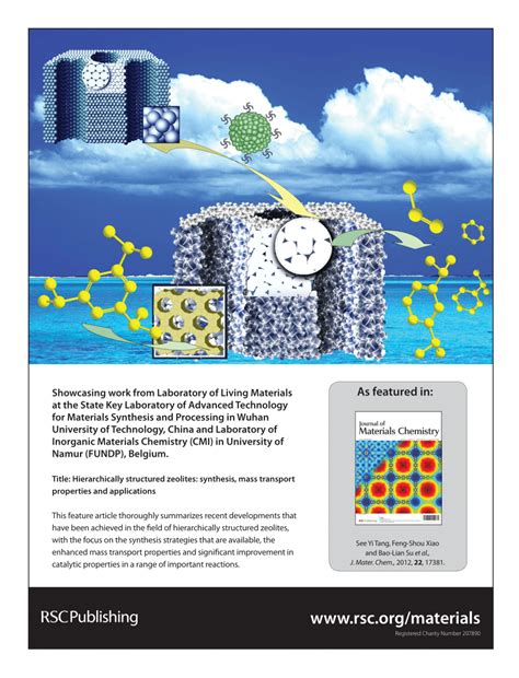 pdf hierarchically structured zeolites synthesis mass transport