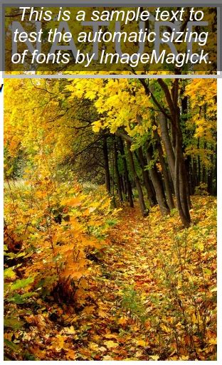 Php Imagemagick Text Into Rectangle Stack Overflow