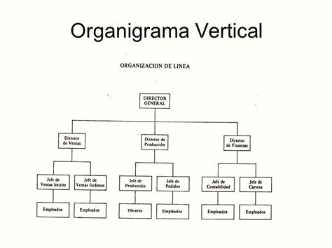 Ejemplo De Organigrama Vertical Y Horizontal Chart Bar Chart Map Porn