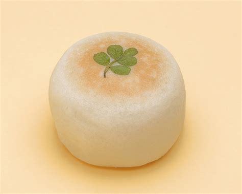 風流堂【山川・朝汐本舗】菓子老舗