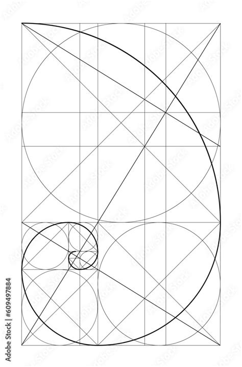 Vector Golden Relationship Template Golden Spiral Golden Ratio