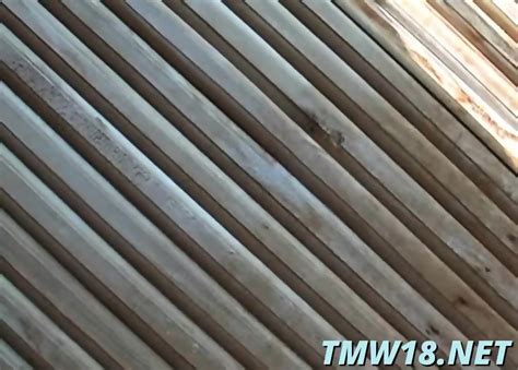 Dishy Bombshell Tania B Got Unforgettable Sex Tania Teen Eporner