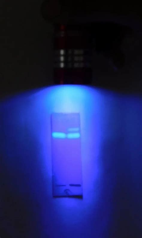Yucca S Thin Layer Chromatography Tlc Kit At Best Price In Mumbai