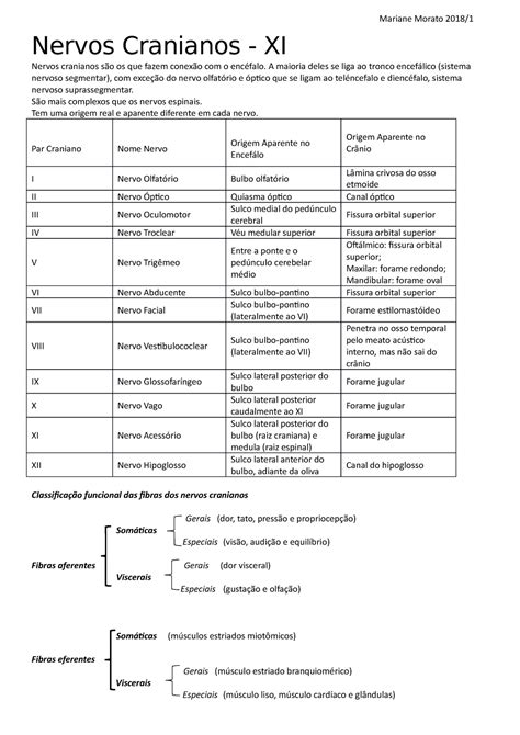 Nervos Cranianos Capítulo 11 Nervos Cranianos XI Nervos cranianos