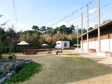 문경 경북 상주 야외 카페 명주정원 뷰 맛집 아이랑 갈만한 곳 강아지랑 갈만한 곳 네이버 블로그