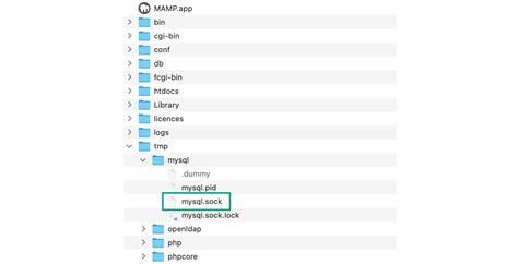 MAMPでDrushを使うとIn Connection php line 189 SQLSTATE HY000 2002 No