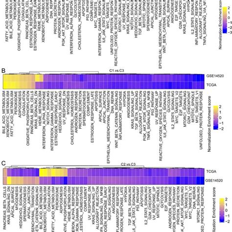 Potential Functional Annotations Of Three Molecular Clusters A C