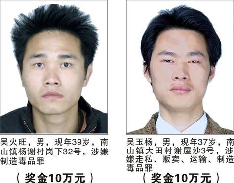 悬赏缉捕！最高奖励50万元！澎湃号·政务澎湃新闻 The Paper