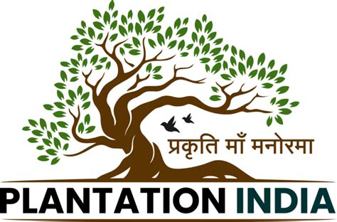 Tantra Plants