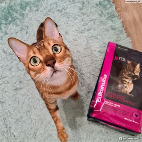 Корм для кошек Eukanuba Sterilised Weight Control Как вырастить