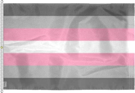 Agas Large Demigirl Pride Flag 8x12 Ft Double Sided Printed 200d