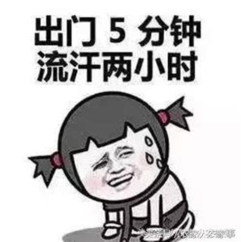 沁園春 熱 每日頭條