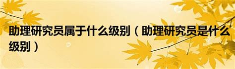 助理研究员属于什么级别助理研究员是什么级别 环球知识网